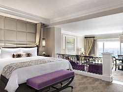 The Venetian Resort Las Vegas